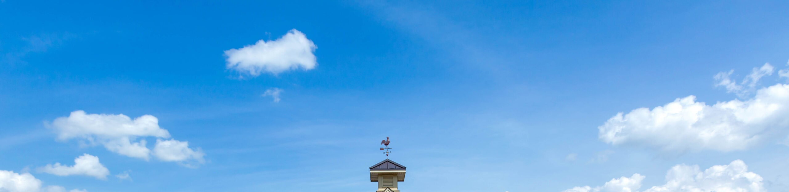 Daycare and Preschool in Minneapolis, MN | Primrose School of Cottage Grove