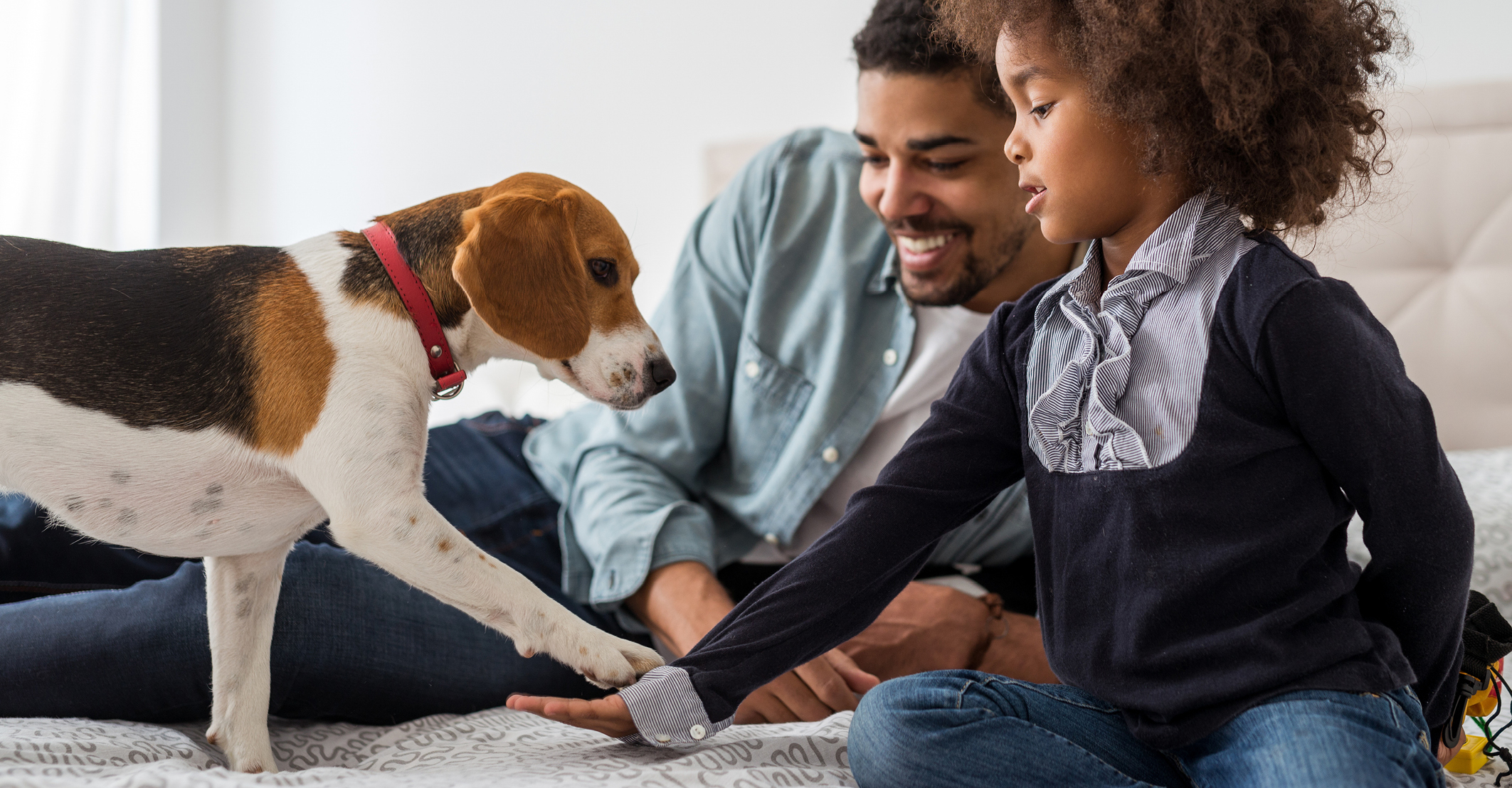 Teaching Responsibility Through Pet Ownership – Primrose Schools